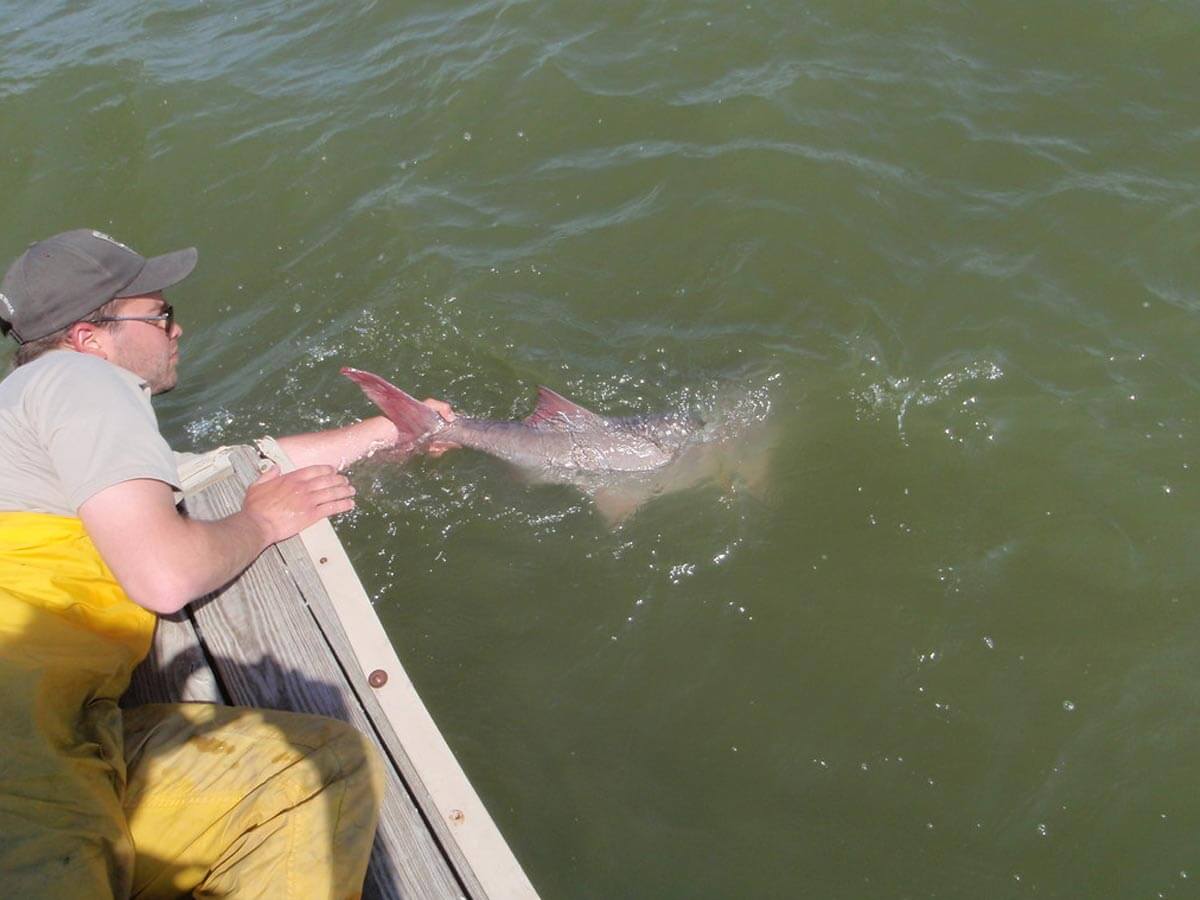 The Best Fishing Spots in South Dakota: A Guide to the Top 15 ...