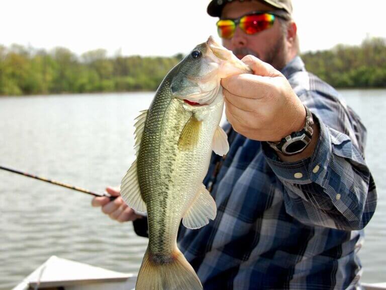 The Best Fishing Spots in South Dakota: A Guide to the Top 15 ...